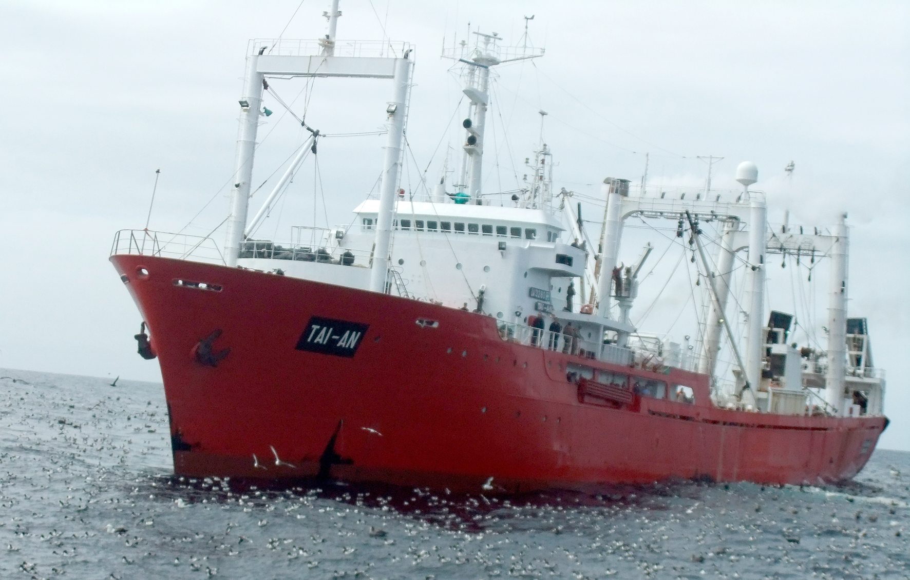 Record trip for Tai An - Cosmos Trawl