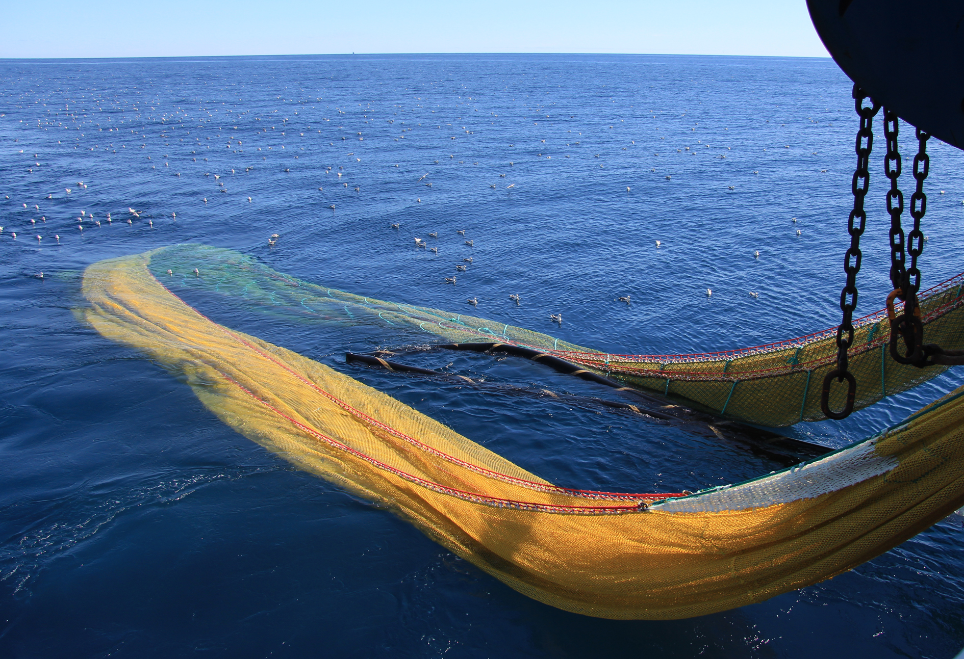 T90 codends on DynIce Quicklines perform well - Cosmos Trawl